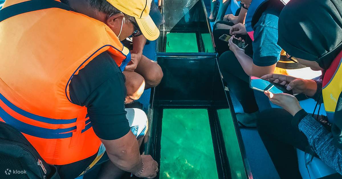 Turtle Island, Glass Bottom Boat and Mangrove Cruise by JTB Indonesia | Klook